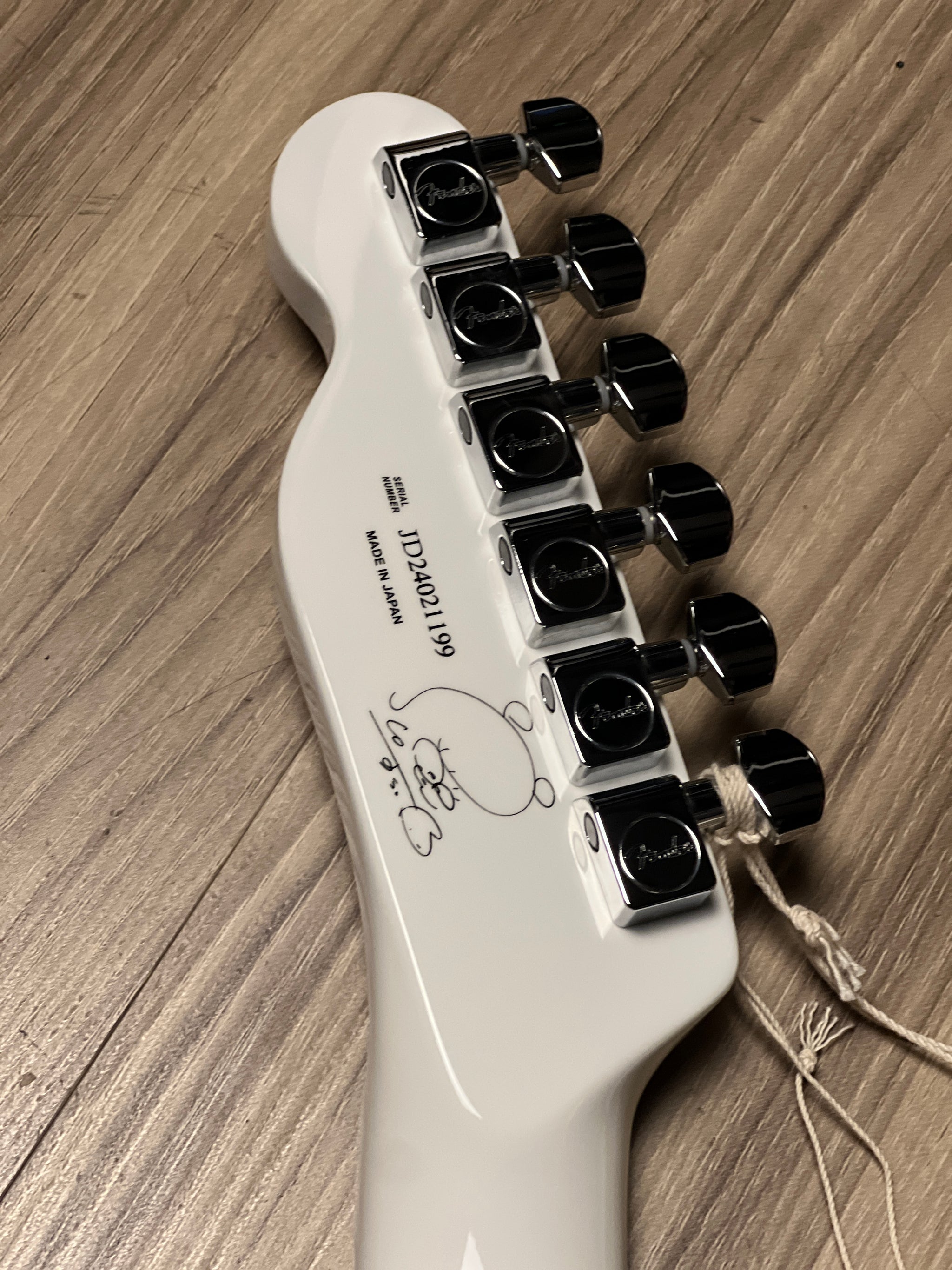 Fender Japan Silent Siren Signature Telecaster with Maple FB in Arctic ...