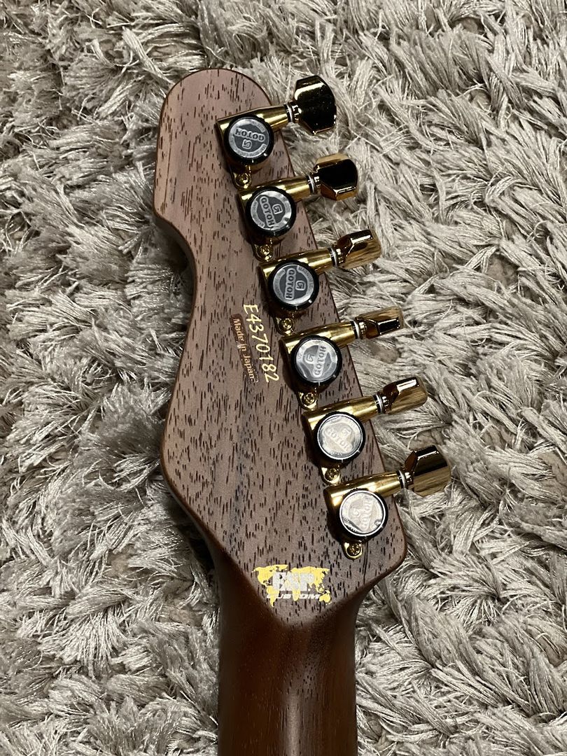 ESP Snapper Custom QM Blue Gradation E4370182 – nafiriguitar.com