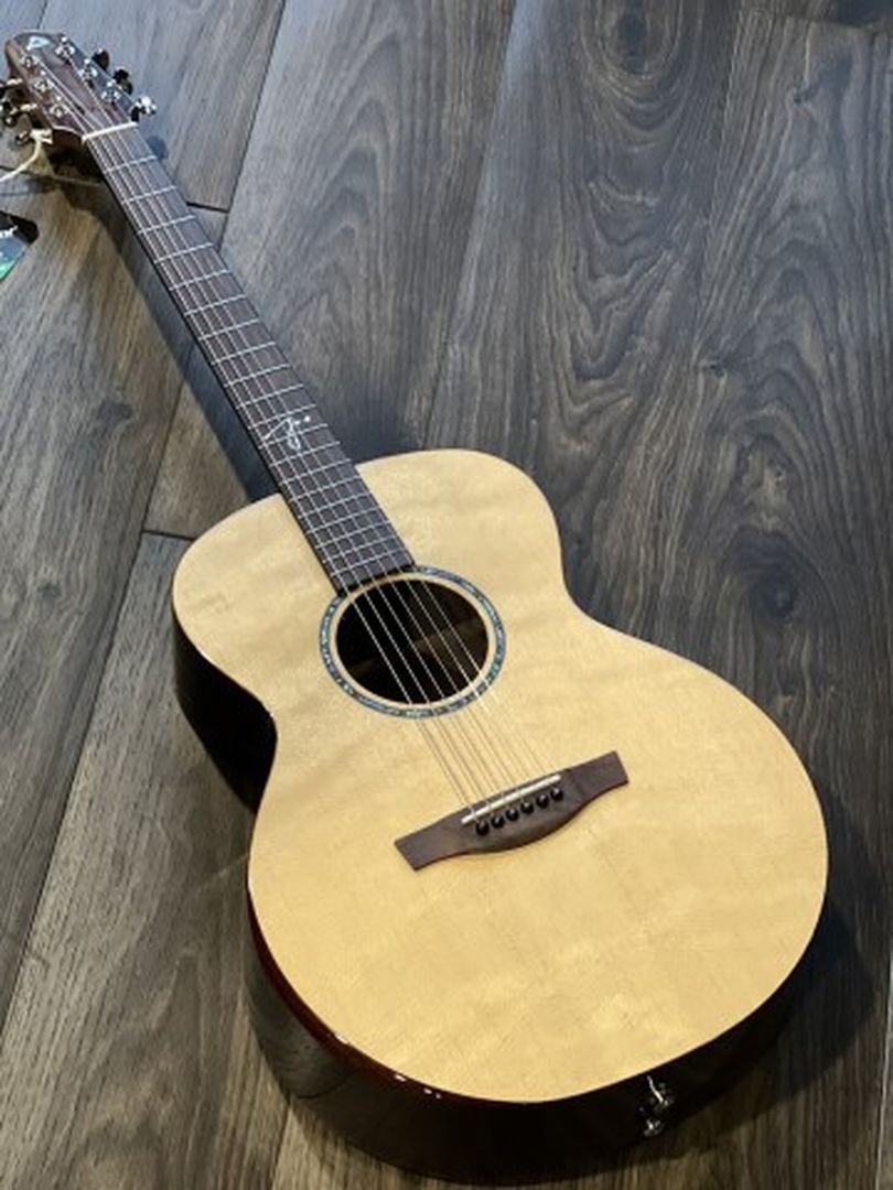 COVENANT 310 "JOE" Zhu Jiaming Signature with PGA-M3NA Preamp ...